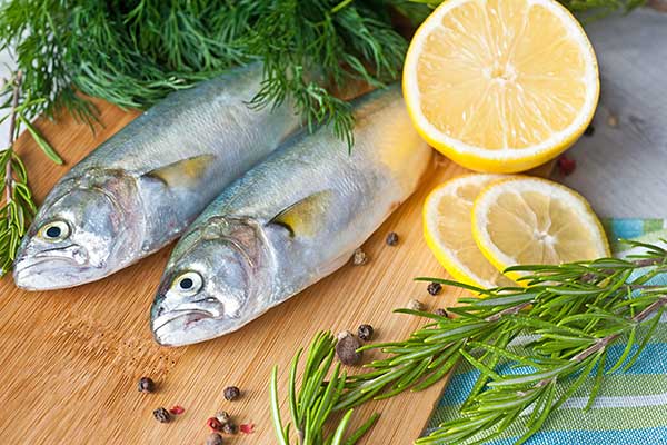 Fresh Bluefish for Sale | Burke’s Seafood