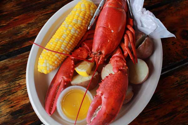 Fresh Live Lobsters for Sale | Burke’s Seafood