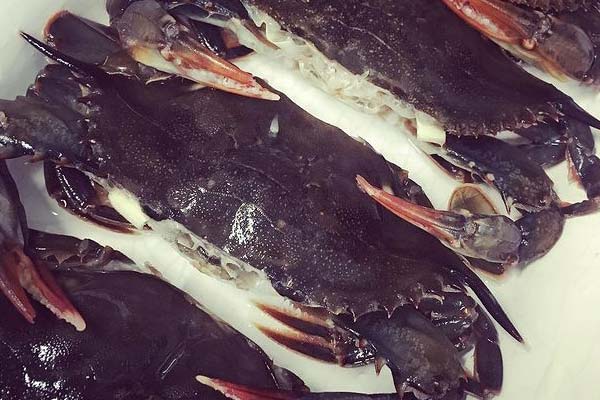 Soft Shell Crabs for Sale | Burke’s Seafood