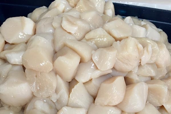 Sea Scallops for Sale | Burke’s Seafood